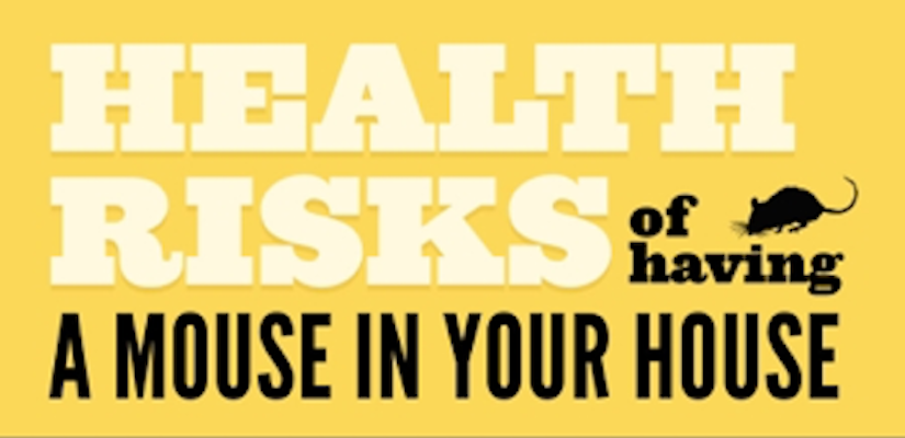 Health Risks of Having a Mouse in Your House [INFOGRAPHIC] - Mice Mob ...