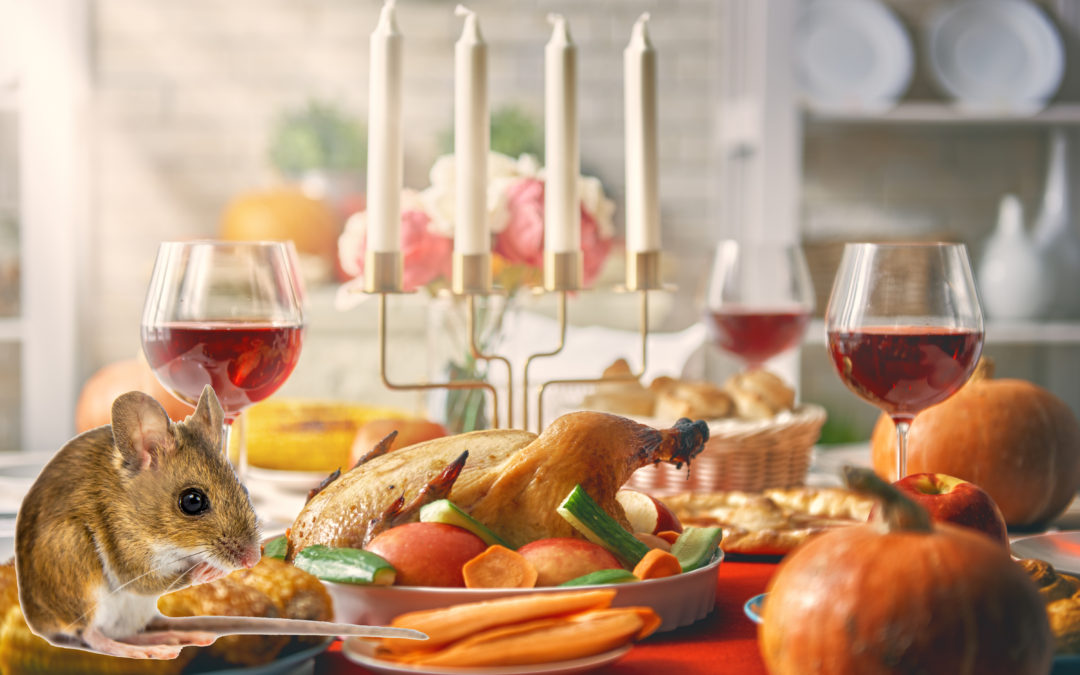 Don’t Invite Rodents to Thanksgiving Dinner - Mice Mob Exterminators