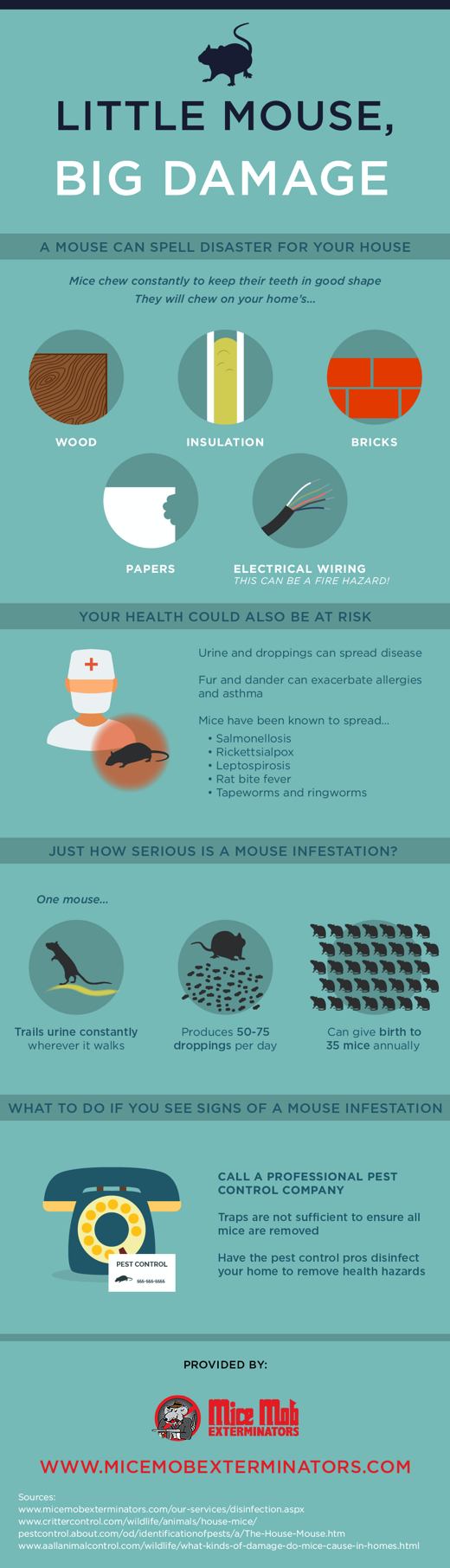 Little Mouse, Big Damage - Mice Mob Exterminators Little Mouse, Big Damage - Mice Mob Exterminators