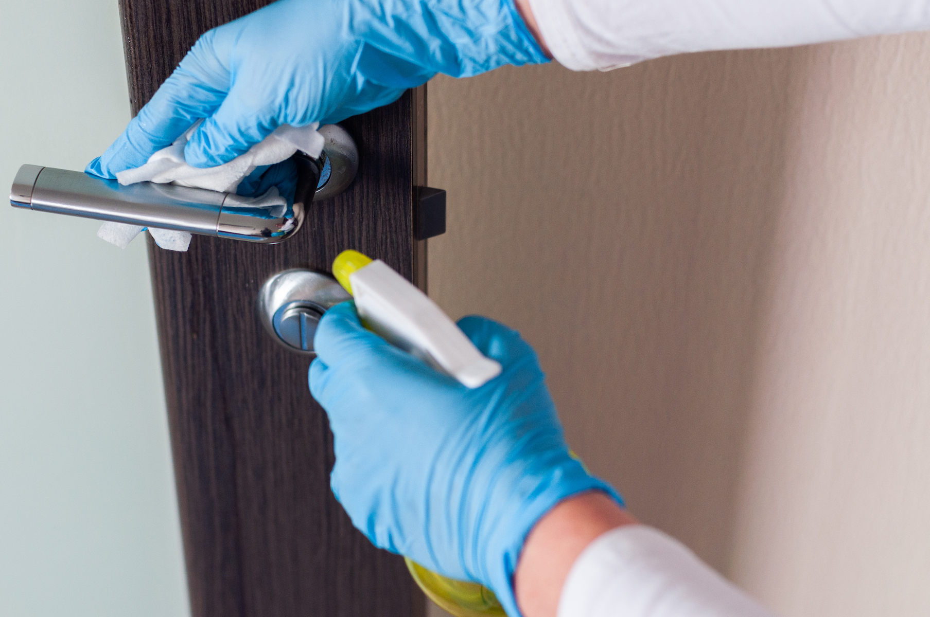 Disinfecting a Home After Mice Removal - Mice Mob Exterminators