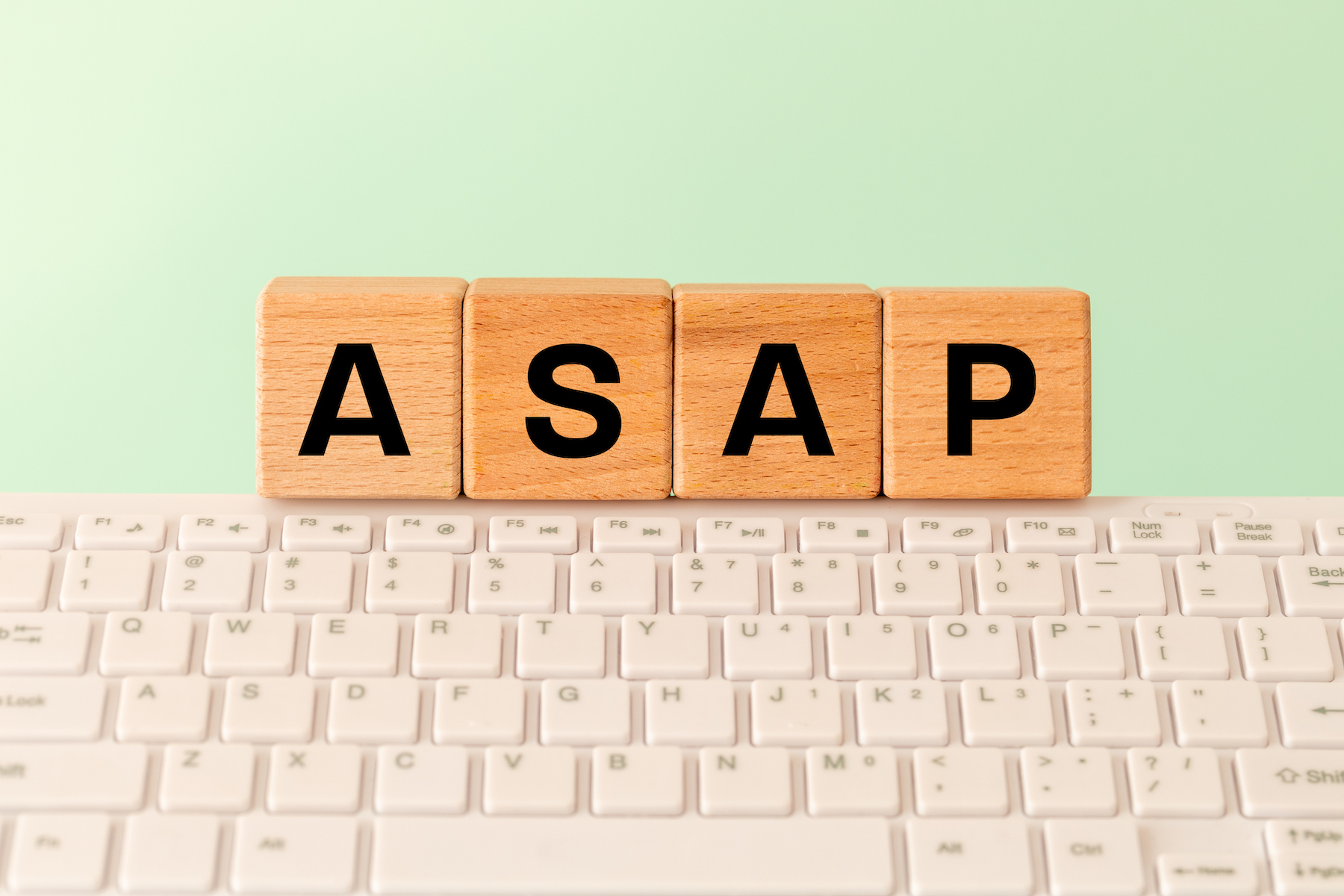 Why You Need to Handle Your Mouse Problem ASAP - Mice Mob Exterminators