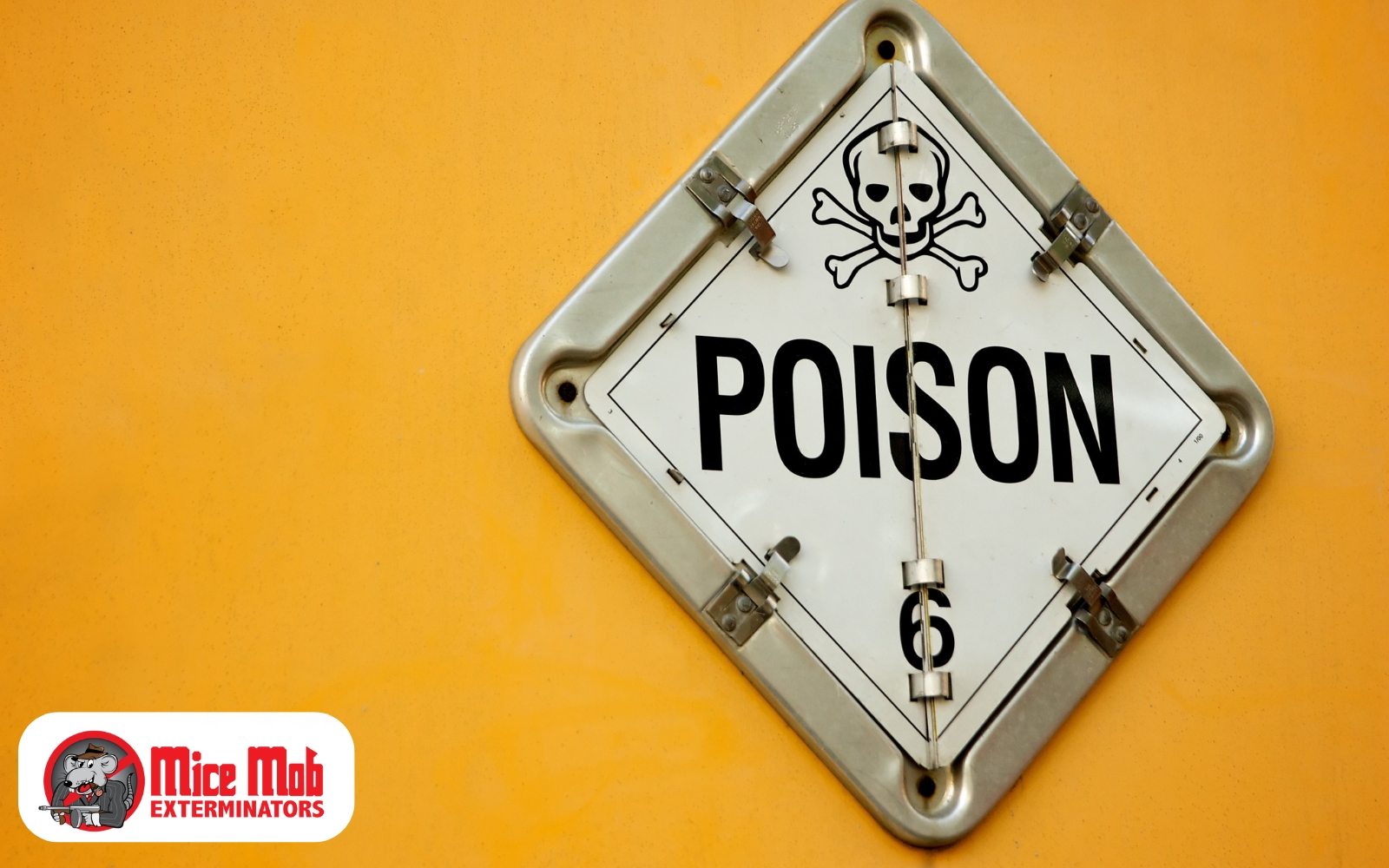 Protecting Your Pets from the Dangers of Mouse Traps and Poisons - Mice ...