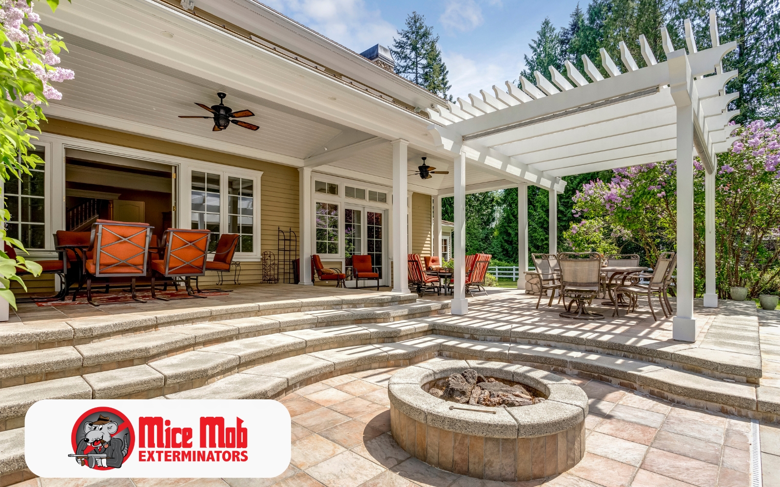 How to Protect Your Garden and Outdoor Spaces from Rodent Damage - Mice ...