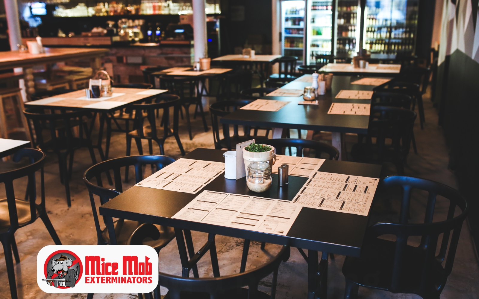 Rodent Control in Food Businesses: Compliance, Hygiene, & Best ...