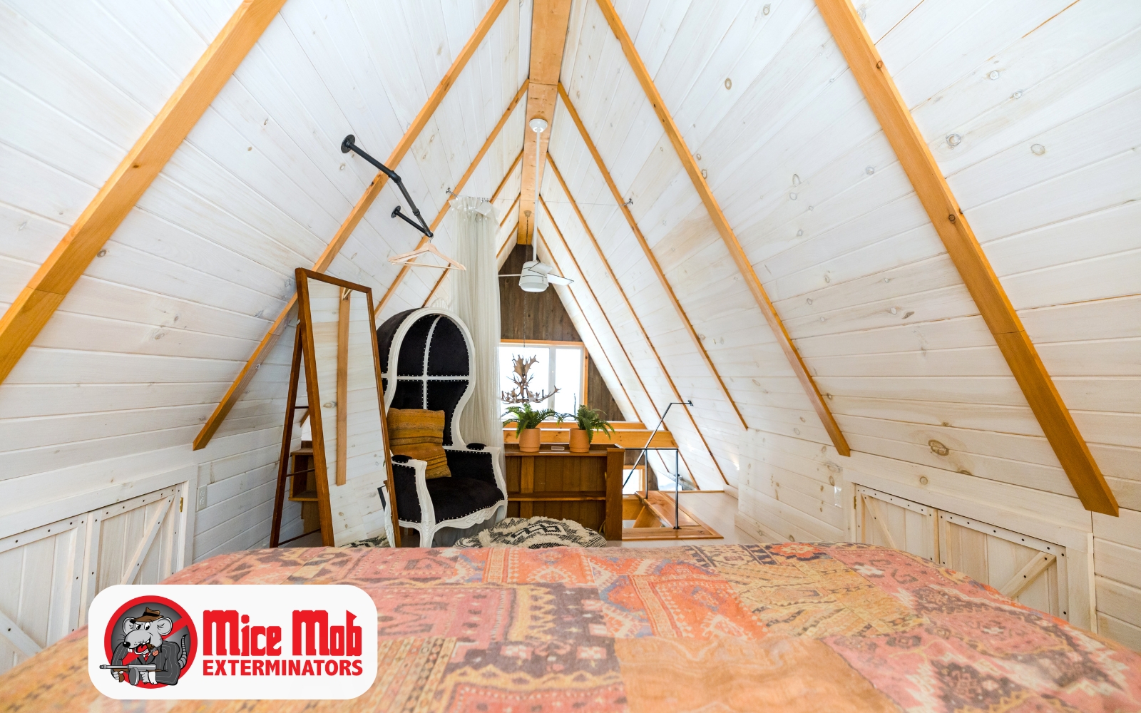 How to Spot and Stop Mice in the Attic During Winter - Mice Mob ...